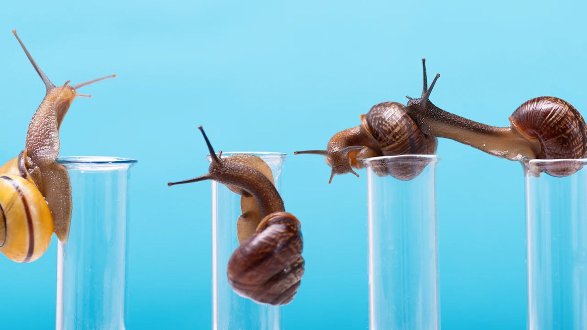 "The XO8 Vital Restorative Elixir was featured in Skin Inc" | XO8 ...